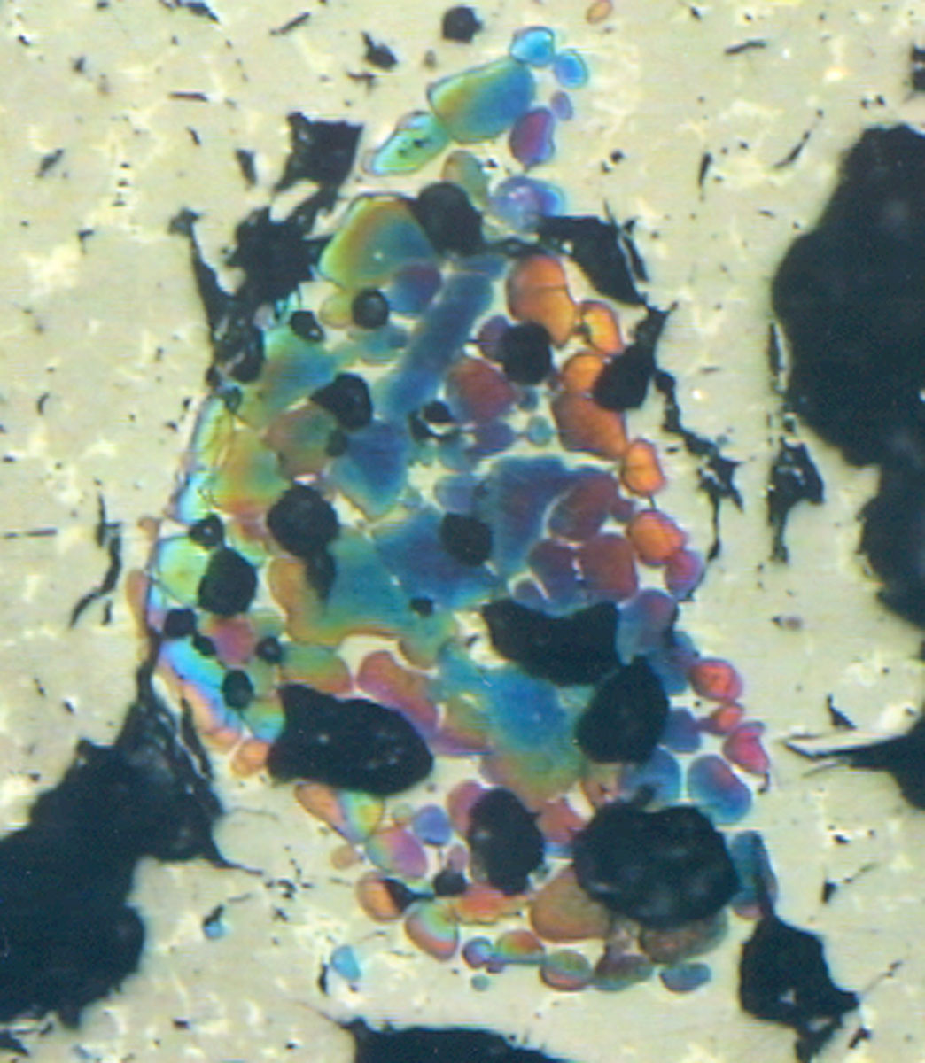 Publications | C3S Petrographic